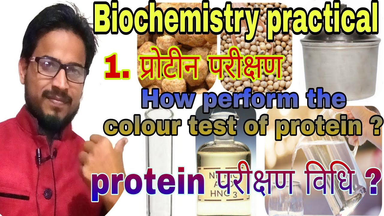 biochemistry practical, protein parikshan,how perform the colour test ...