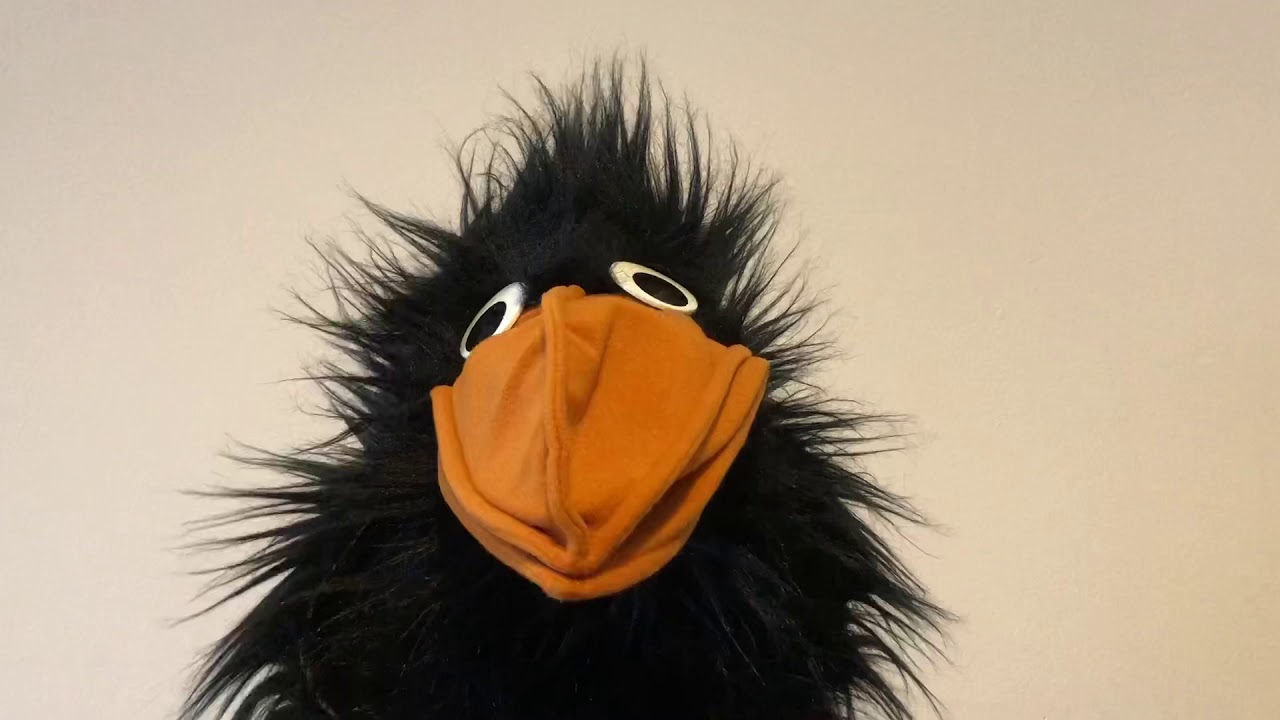 Rabe Rudi ist zurück ... seid gespannt - YouTube