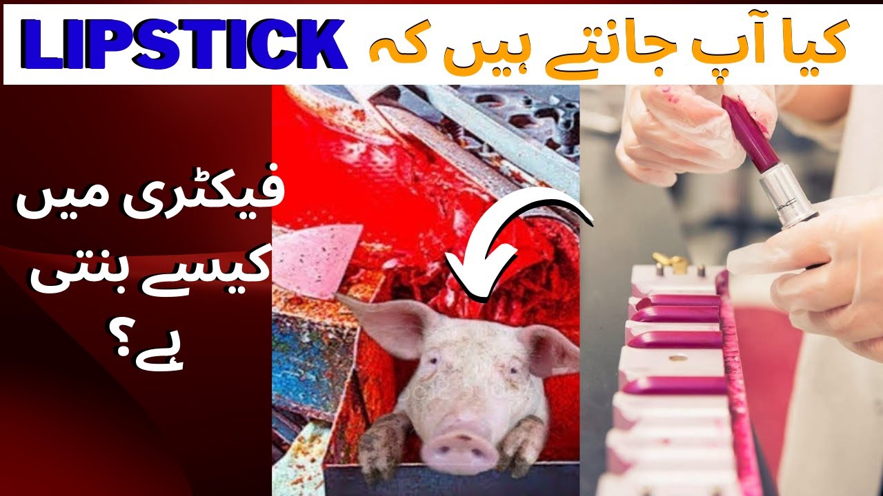 How Lipstick is made -Amazing Cosmetic Manufacturing Process - YouTube