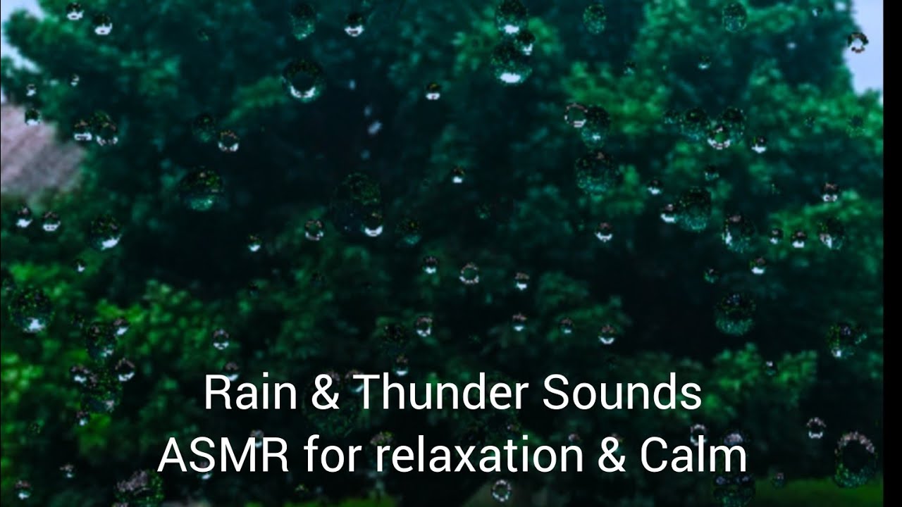 Rain & Thunder on a windy day | Peaceful, Swaying Tree Through a Window ...