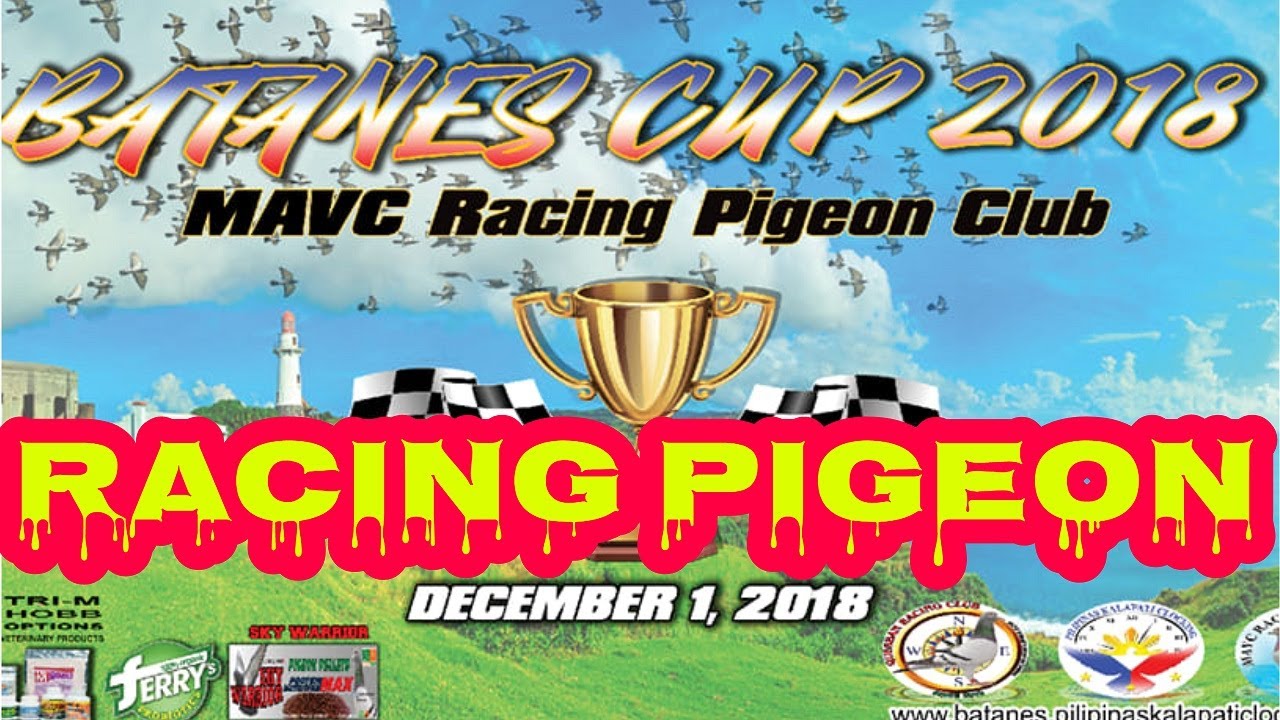 BATANES CUP 2018 Rewind DECEMBER 1, 2018RELEASE TIME : 07:10 AMMINIMUM ...