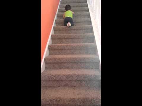 Bebé subiendo gradas. - YouTube