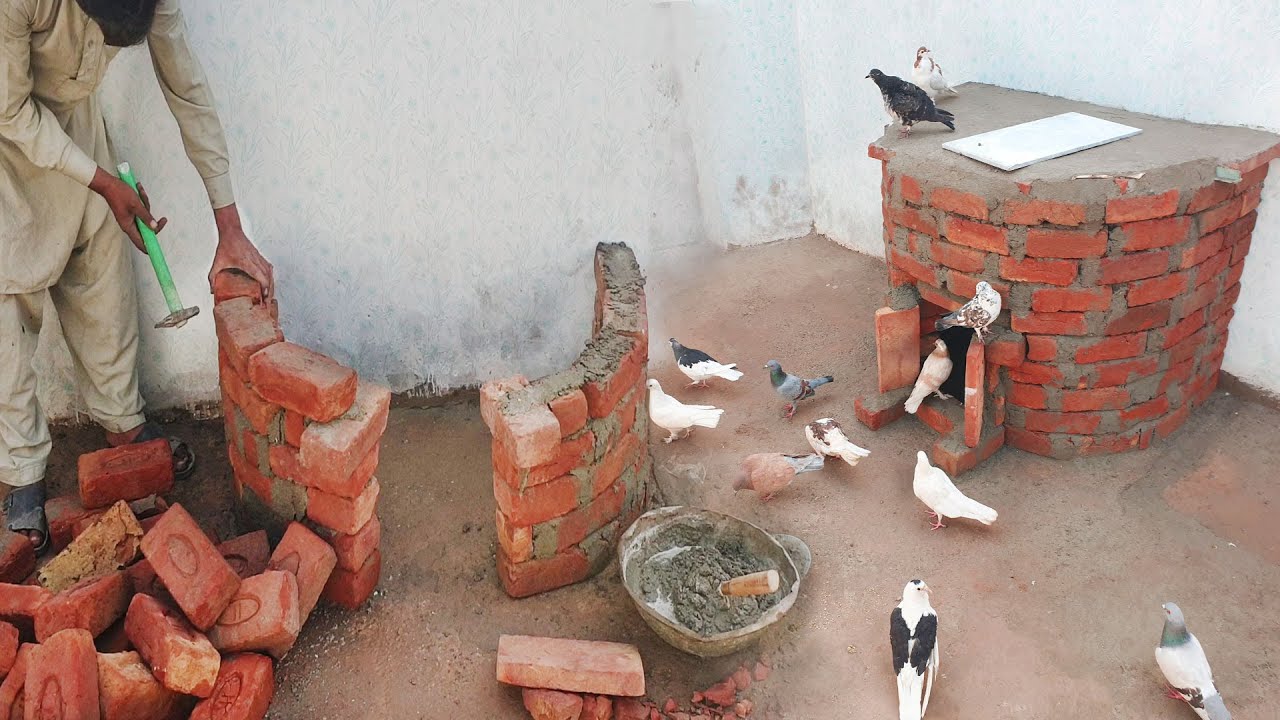 How to make Build New Pigeon House - YouTube