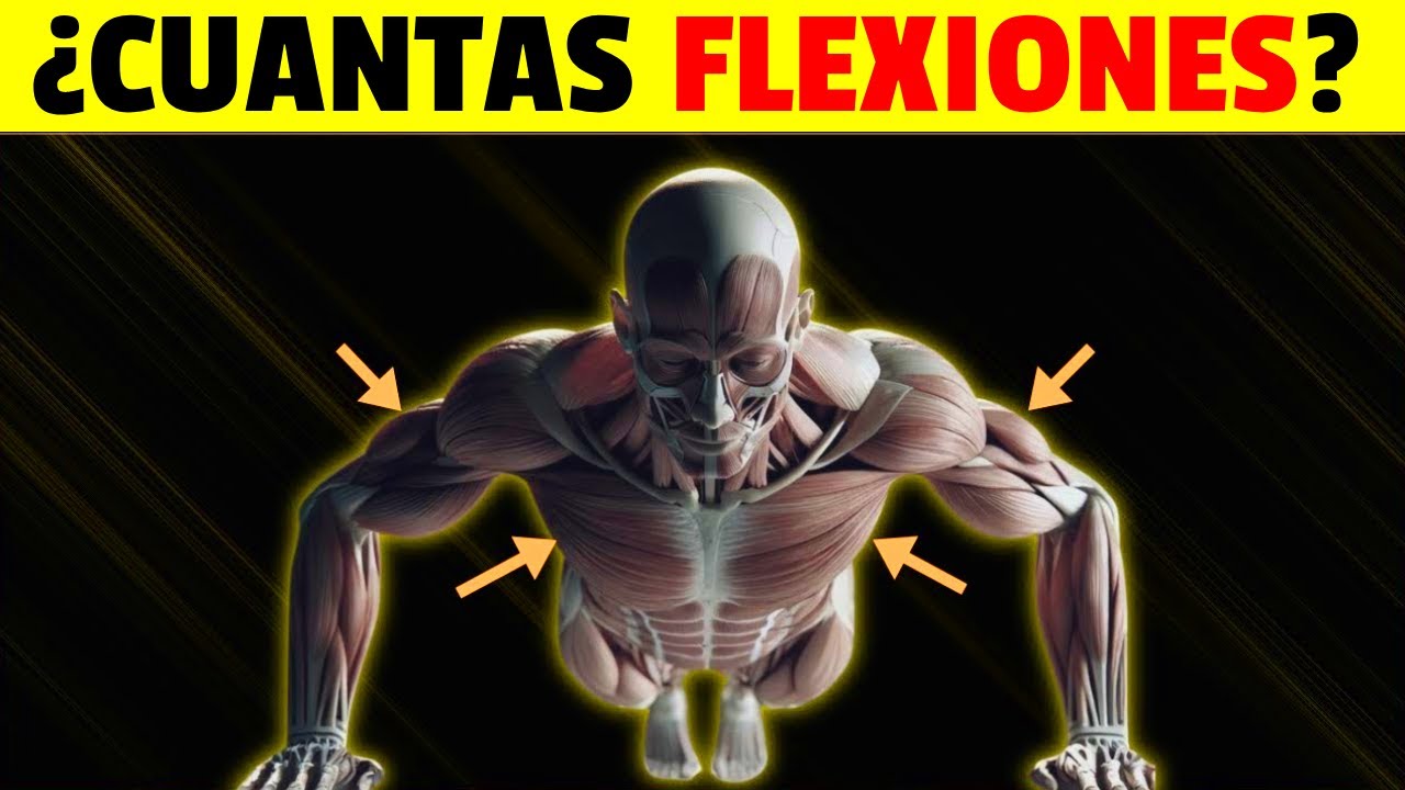 CUÁNTAS FLEXIONES diarias debes hacer desarrollar músculo (Explicación ...