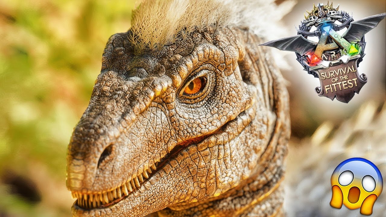 Carcha And Giga And Allo Army ARK PVP 🔥🔥🔥 : ARK Survival of the Fittest ...