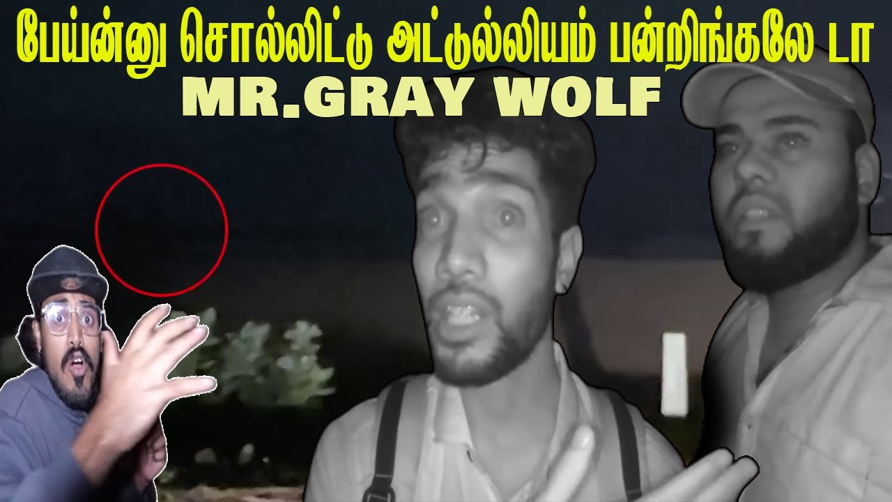 பேய்ன்னு சொல்லிட்டு அட்டுல்லியம் பன்றிங்கலே டா Scripted@graywolfvasu #graywolf #ghosthunters # ...