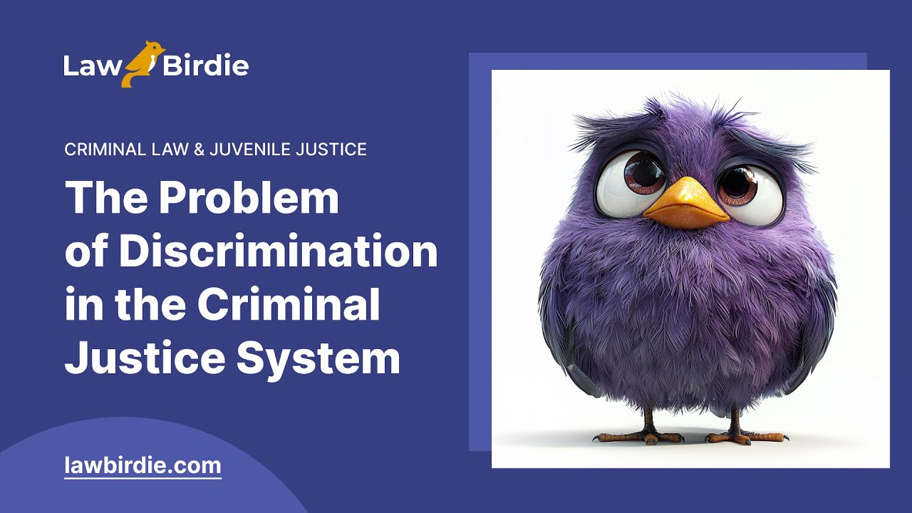 The Problem of Discrimination in the Criminal Justice System - Essay ...