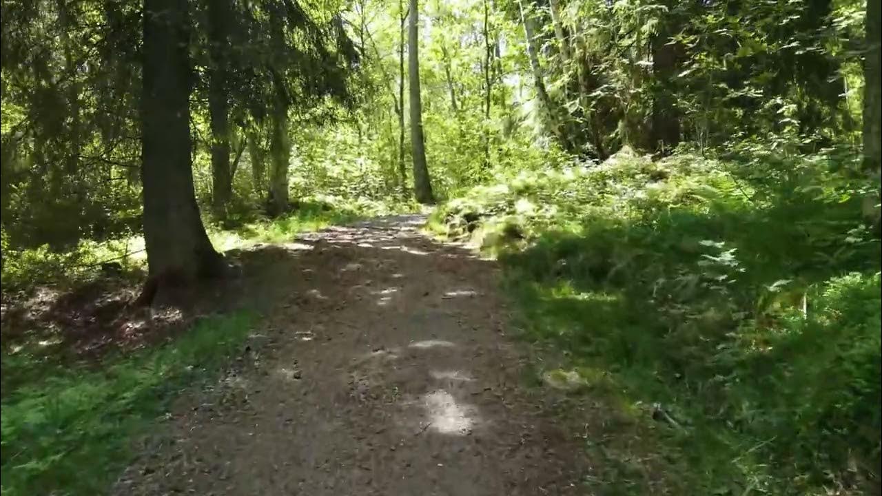 Should simplicity always be the priority in coding? - YouTube