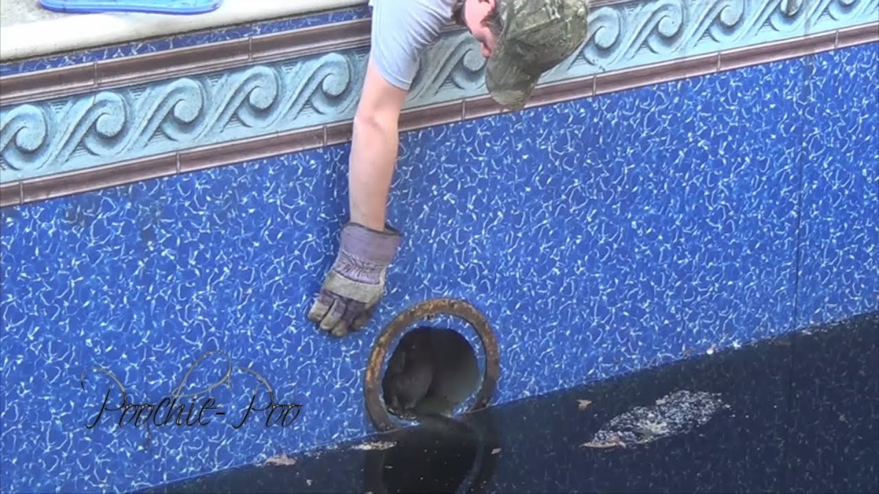 Redneck Squirrel Rescue - YouTube