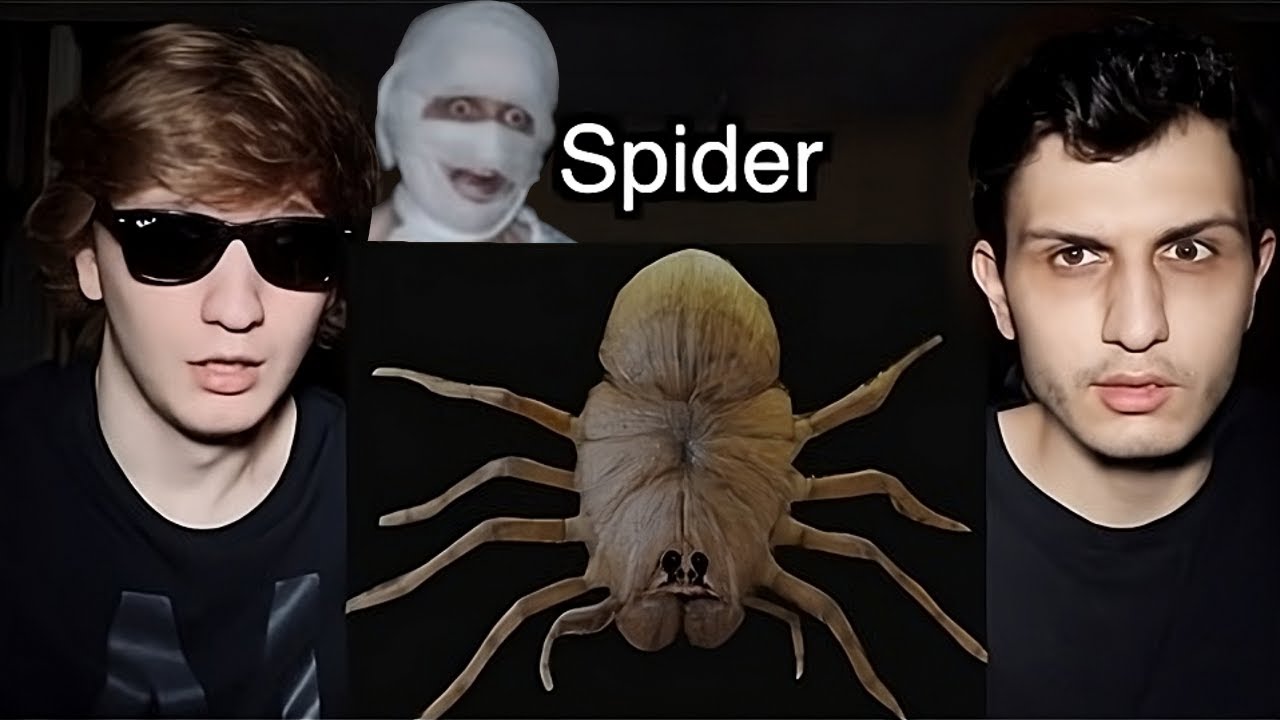 We Bought a PET SPIDER Off the Dark Web.. - YouTube