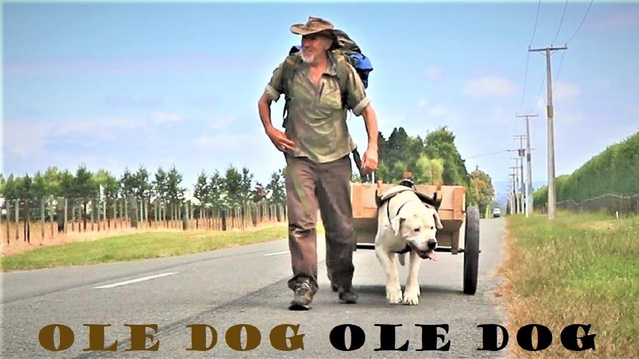Ole Dog Ole Dog (Short Movie ) - YouTube
