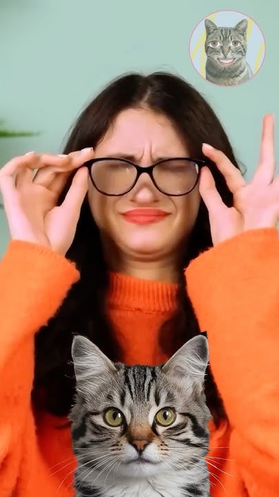 Easy Hacks Every Glasses Wearer Needs To Know 🤓 Cat Reaction Hack Fun Youtube