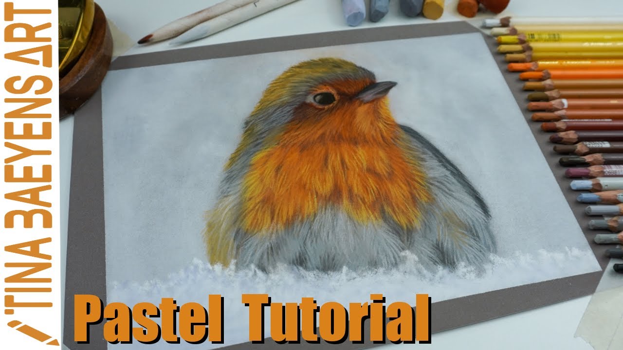 ROBIN TUTORIAL with minimal supplies for BEGINNERS | Step by step ...