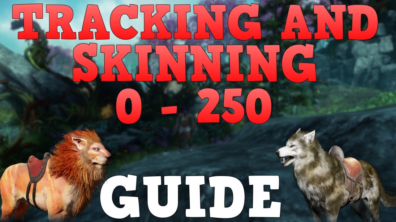 Ultimate Tracking & Skinning Guide 0 - 250 | New World: Aeternum - YouTube
