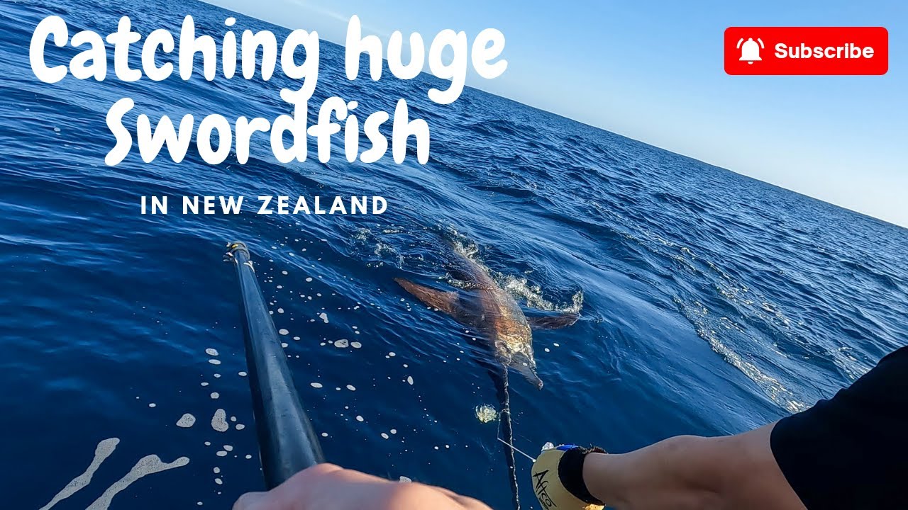 Catching huge Swordfish in New Zealand - YouTube