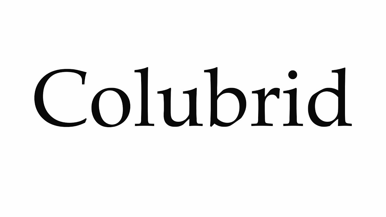 How to Pronounce Colubrid - YouTube