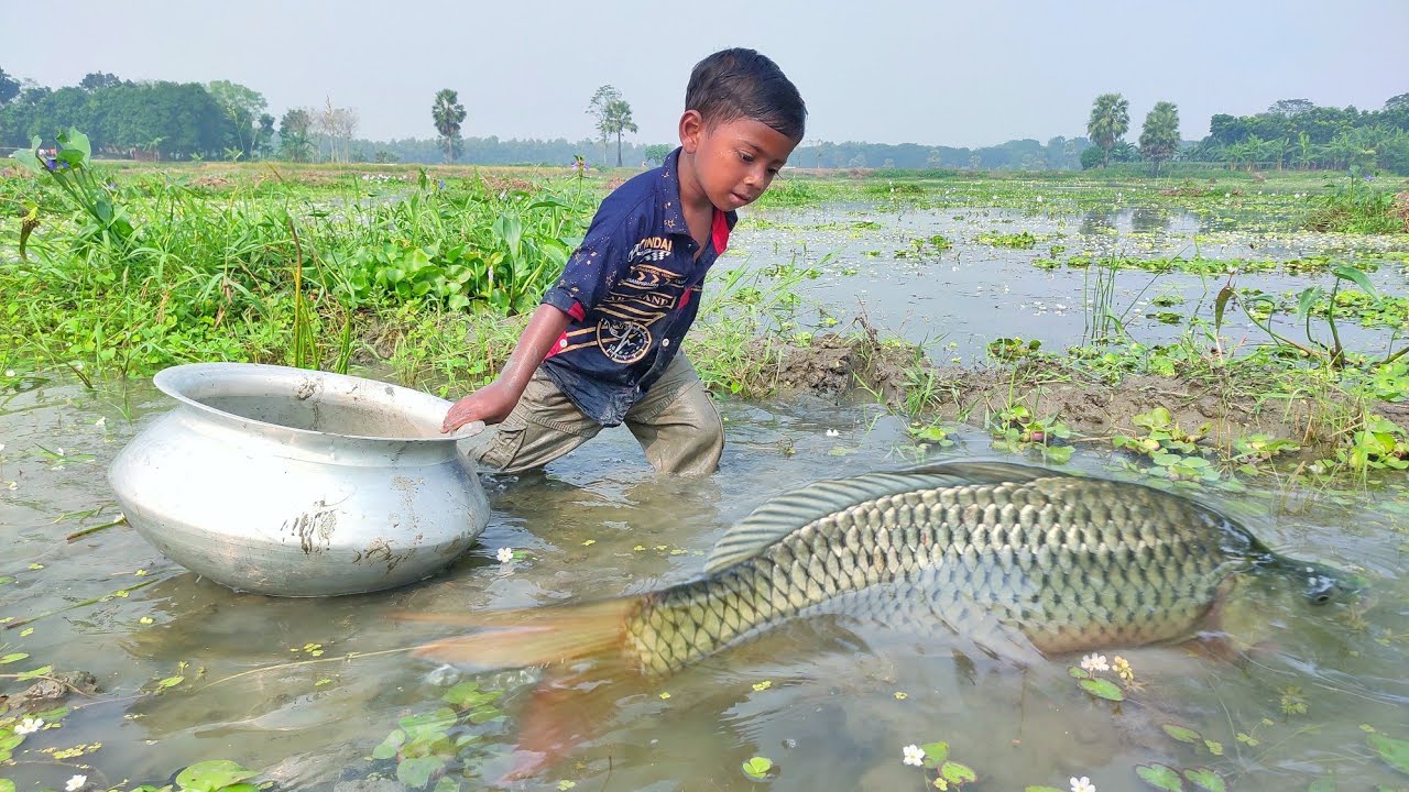 OMG! Amazing Hand Fishing Video | Smart Boy Catching Fish By Hand in ...