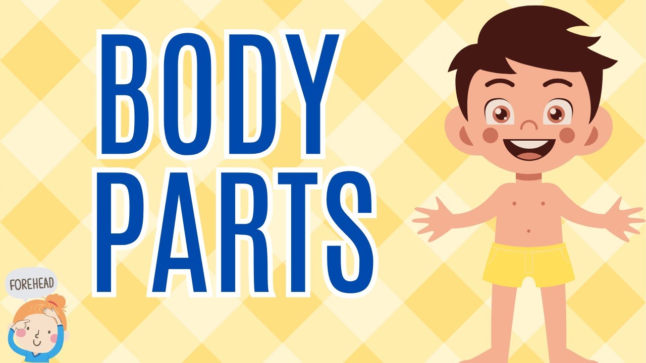 My Body Parts Song #body #bodyparts - YouTube