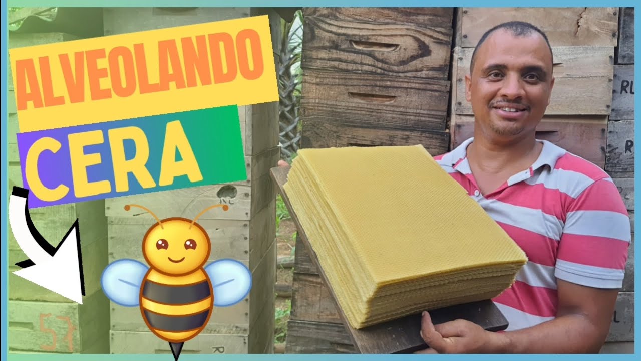 Como laminar e alveolar cera de abelha - YouTube