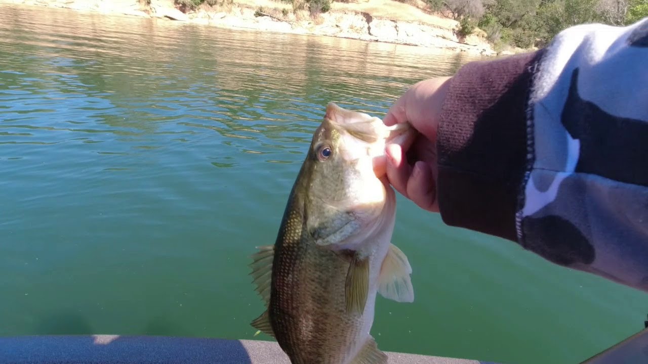 High water, Trees everywhere and the Largemouth Bass are in them. - YouTube