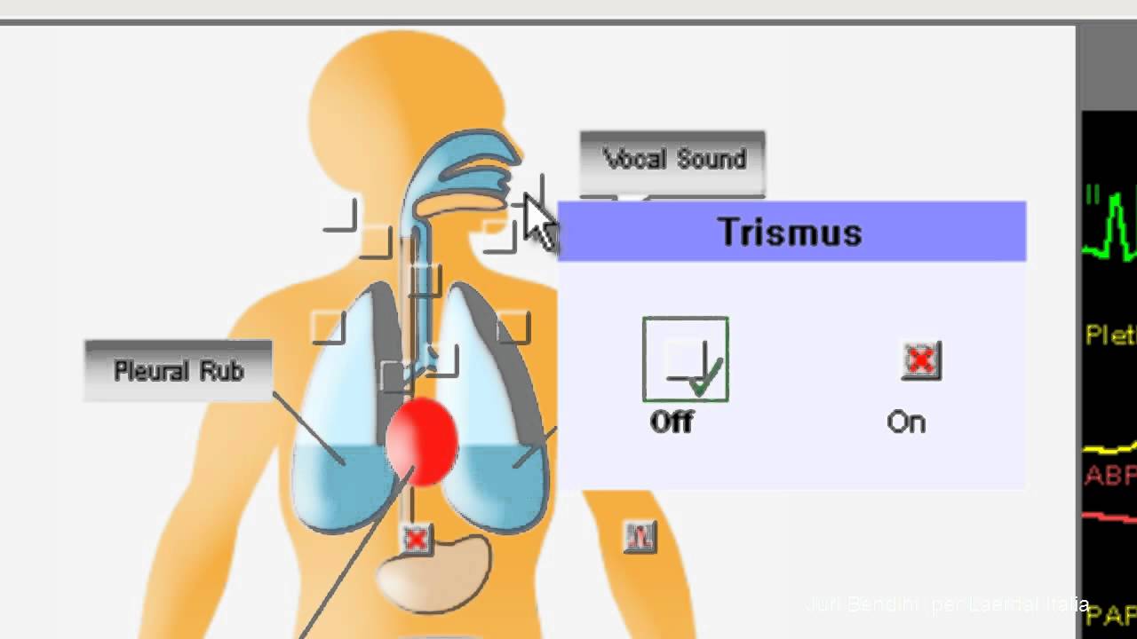SimMan Guida Software - Parte 9 - Area Vie Aeree e Circolazione - YouTube