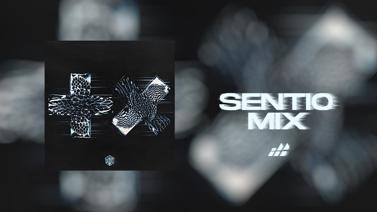 Martin Garrix 'Sentio' Album Mix - YouTube