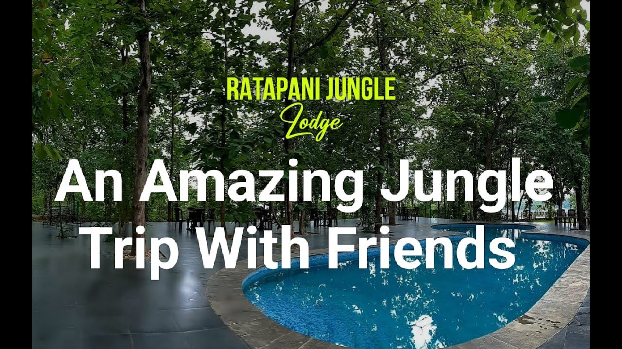 Ratapani Jungle Lodge Near Bhopal |Amazing Few hours in Jungle with # ...
