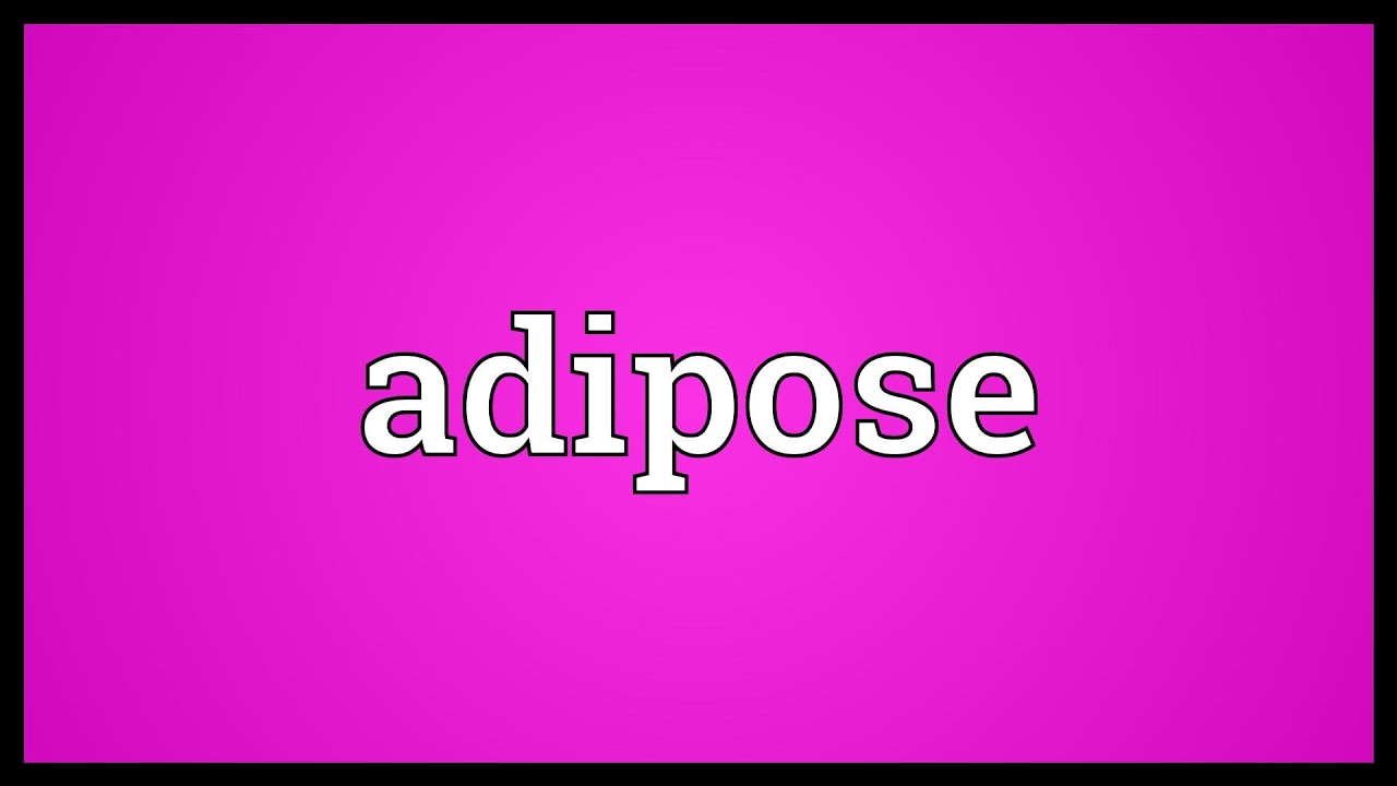 Adipose Meaning YouTube adipose-meaning-youtube