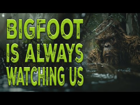 Giant, Mysterious Creature Encounter on Sierra Nevada Interstate 80