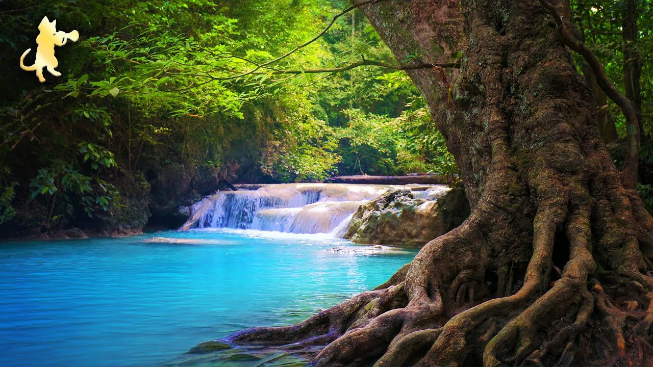 8 HOURS of Relaxing Music with Nature Sounds 🍂 Waterfall Meditation ...