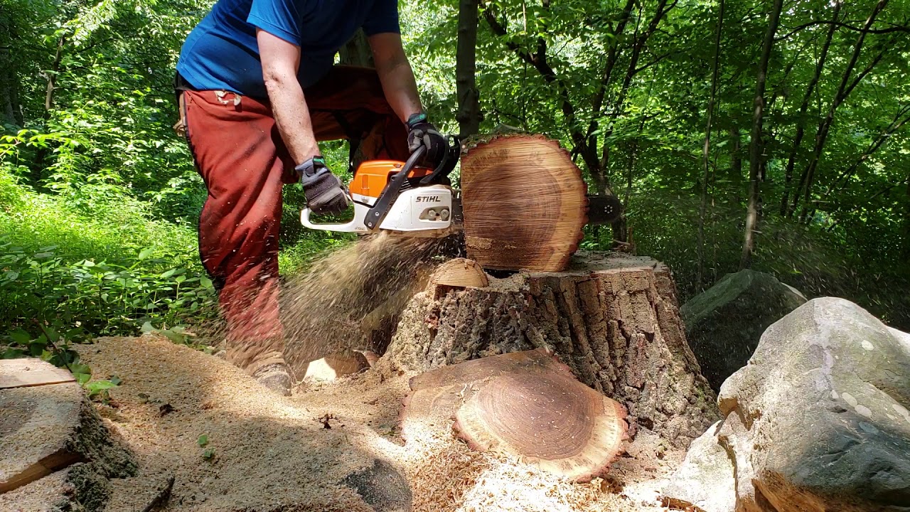 Stihl 026, MS261CM ported by MMWS and MS361 ported by Tree Monkey - YouTube