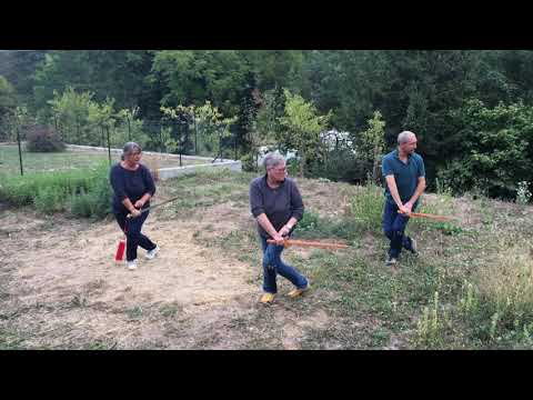 Seminari Residenziali Di Tai Chi Chuan 2021