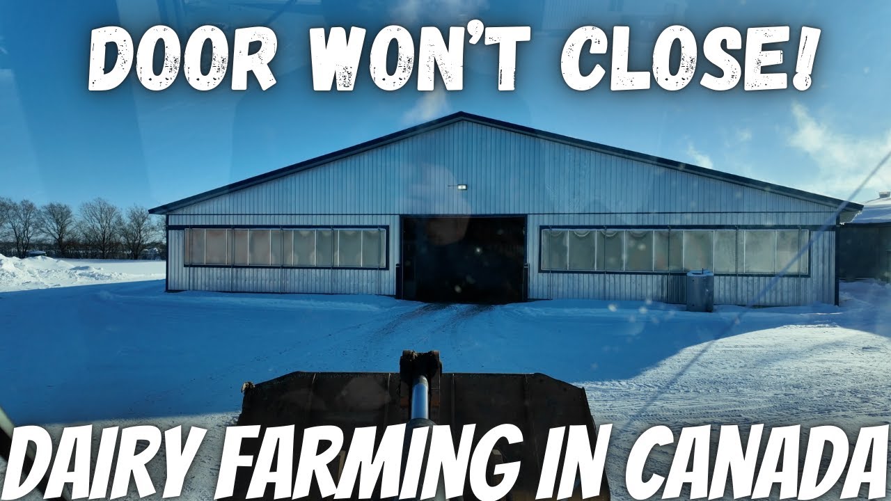 Door Stuck Open During Extreme Cold! - YouTube