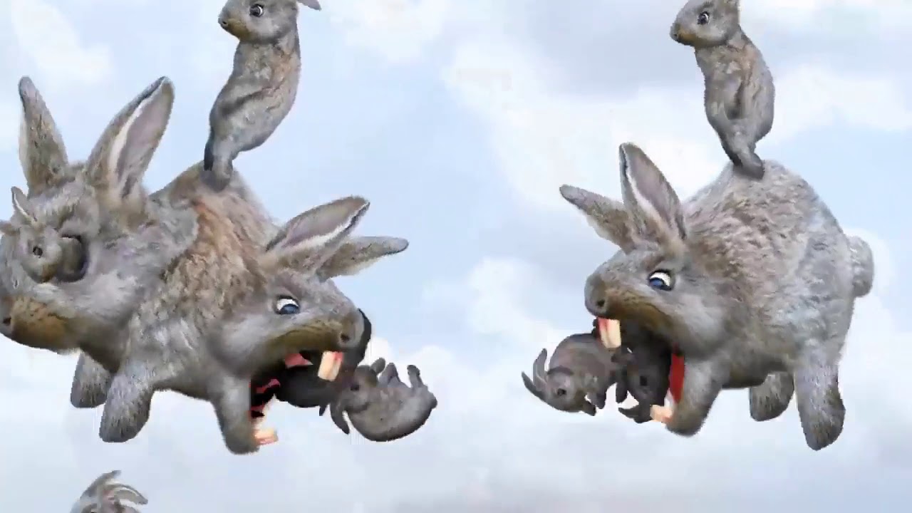 DANCING RABBIT - YouTube