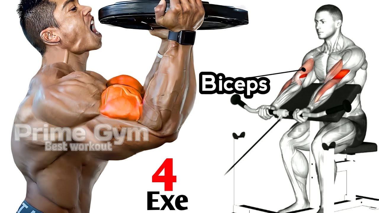 4 BEST Biceps Exercises Power Up Your Arms Growth - YouTube