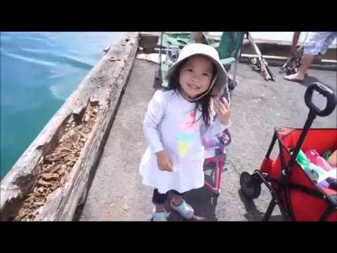 May 27, 2017 Fishing at He'eia Kea Pier - YouTube