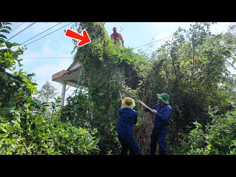 This House Was Abandoned for 10 YEARS — You Won’t Believe the Transformation
