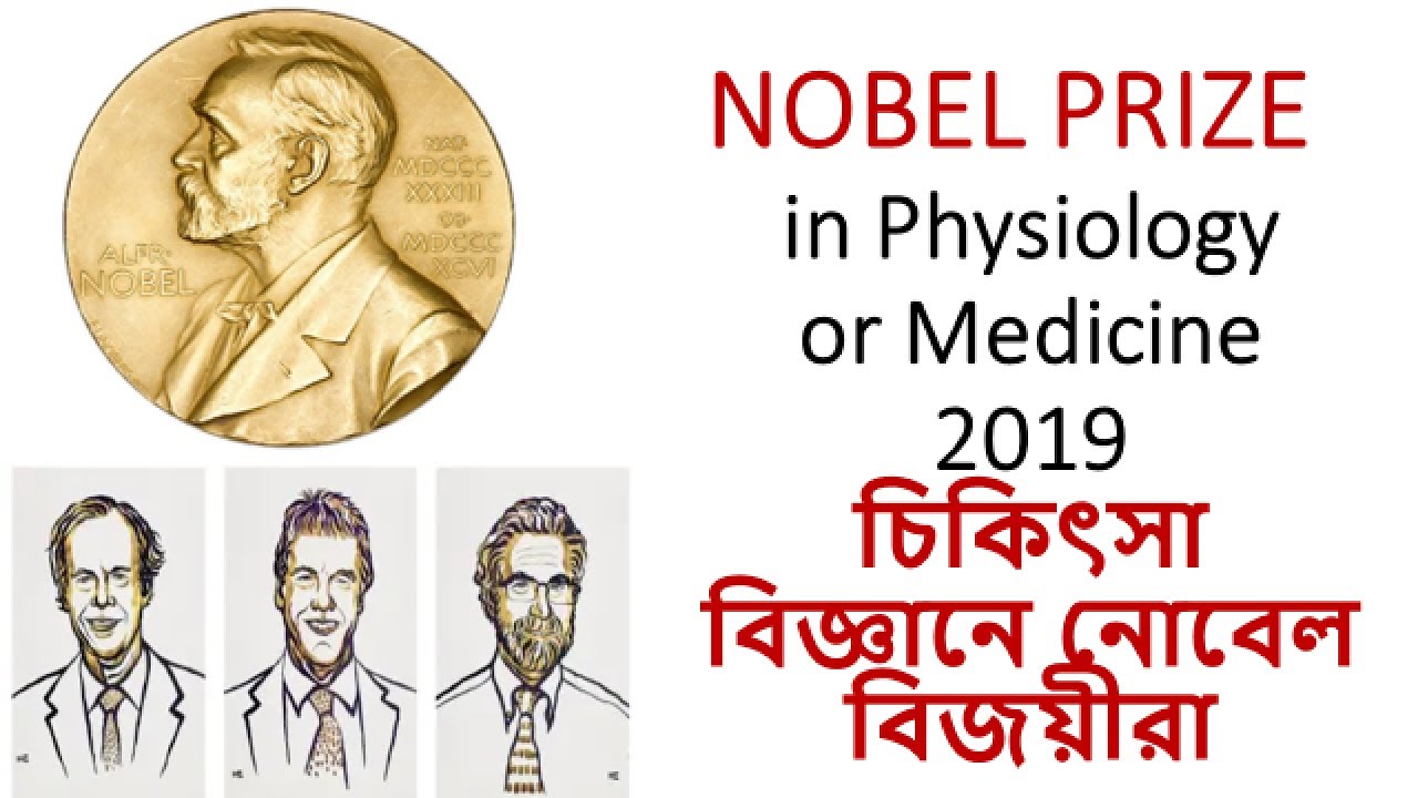 NOBEL PRIZE WINNER IN MEDICINE 2019 - YouTube