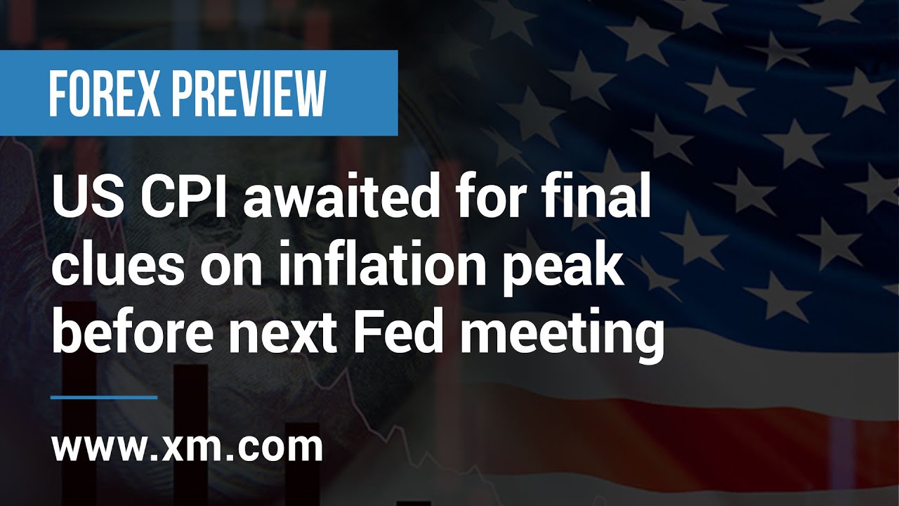 Forex Preview: 08/06/2022 - US CPI awaited for final clues on inflation ...