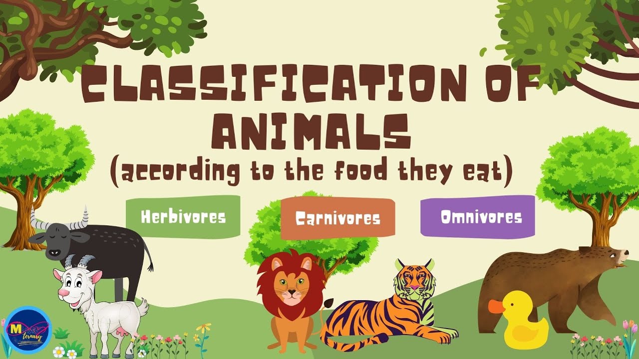 CLASSIFICATION OF ANIMALS ACCORDING TO THE FOOD THEY EAT HERBIVORES