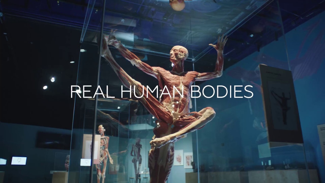 The Tech: Connecting Body Worlds with Augmented Reality - YouTube