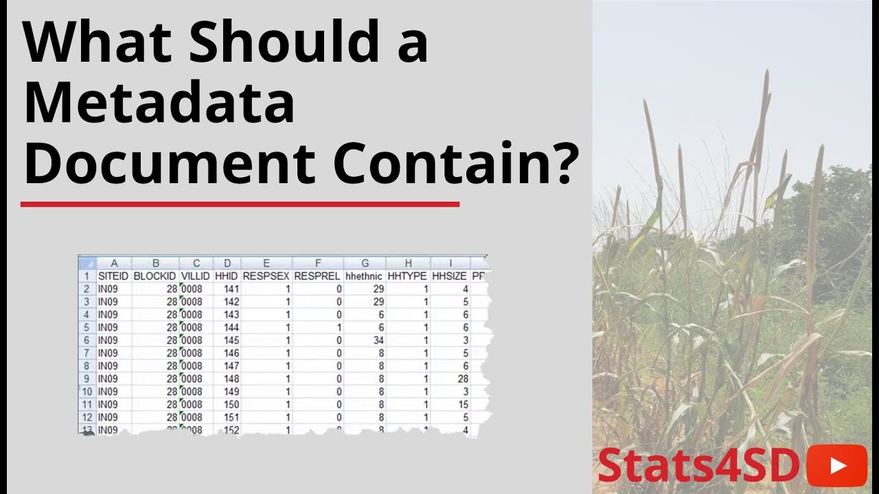 What Should a Metadata Document Contain? - YouTube