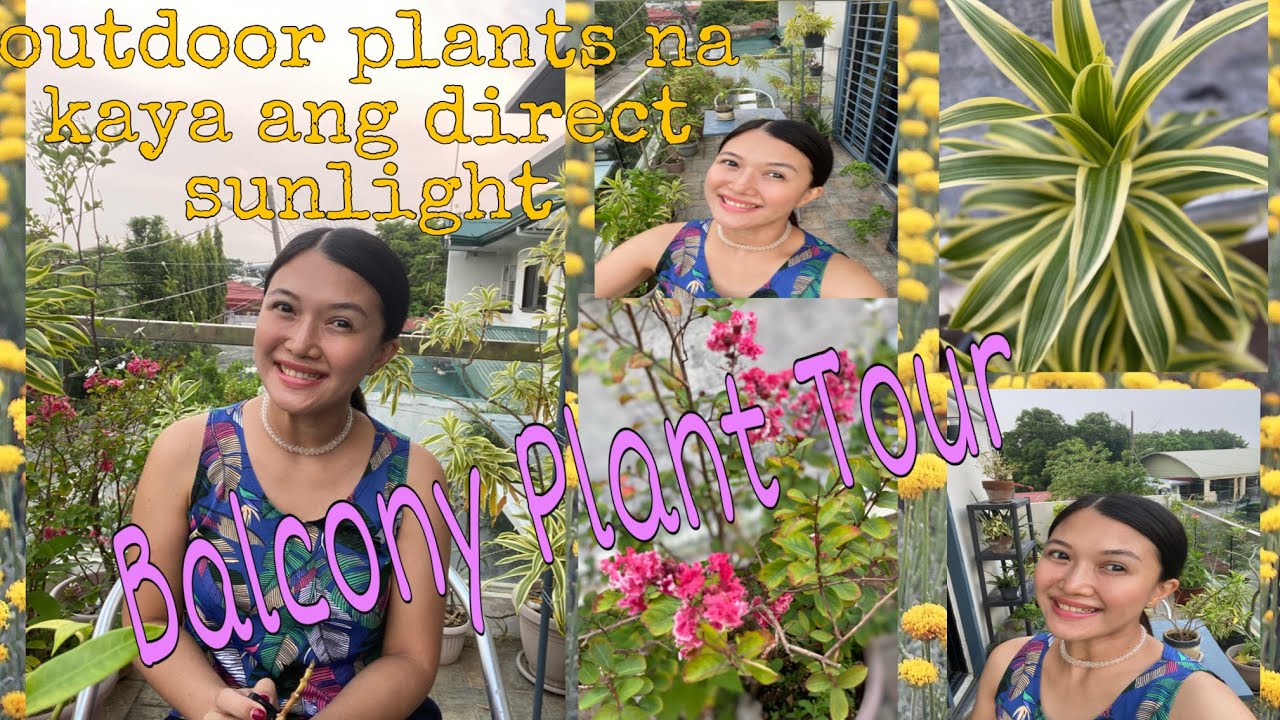 Balcony Plant Tour / Outdoor Plants na matibay sa araw / plants na ...