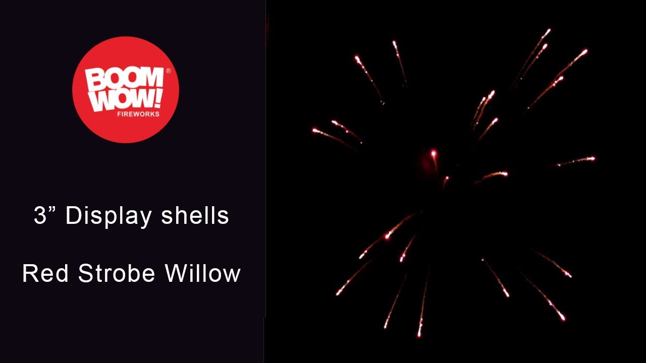 3" Display shells Red Strobe Willow - YouTube