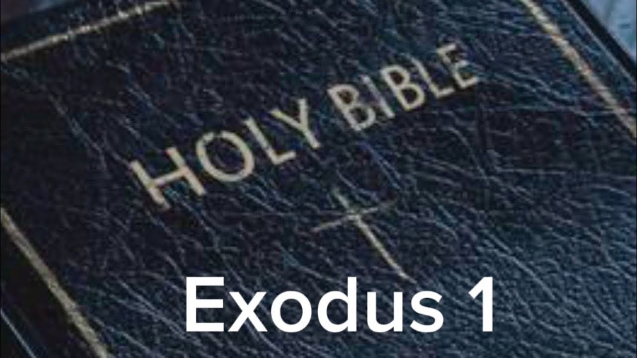 Exodus 1 (NIV) The Audio Bible - YouTube
