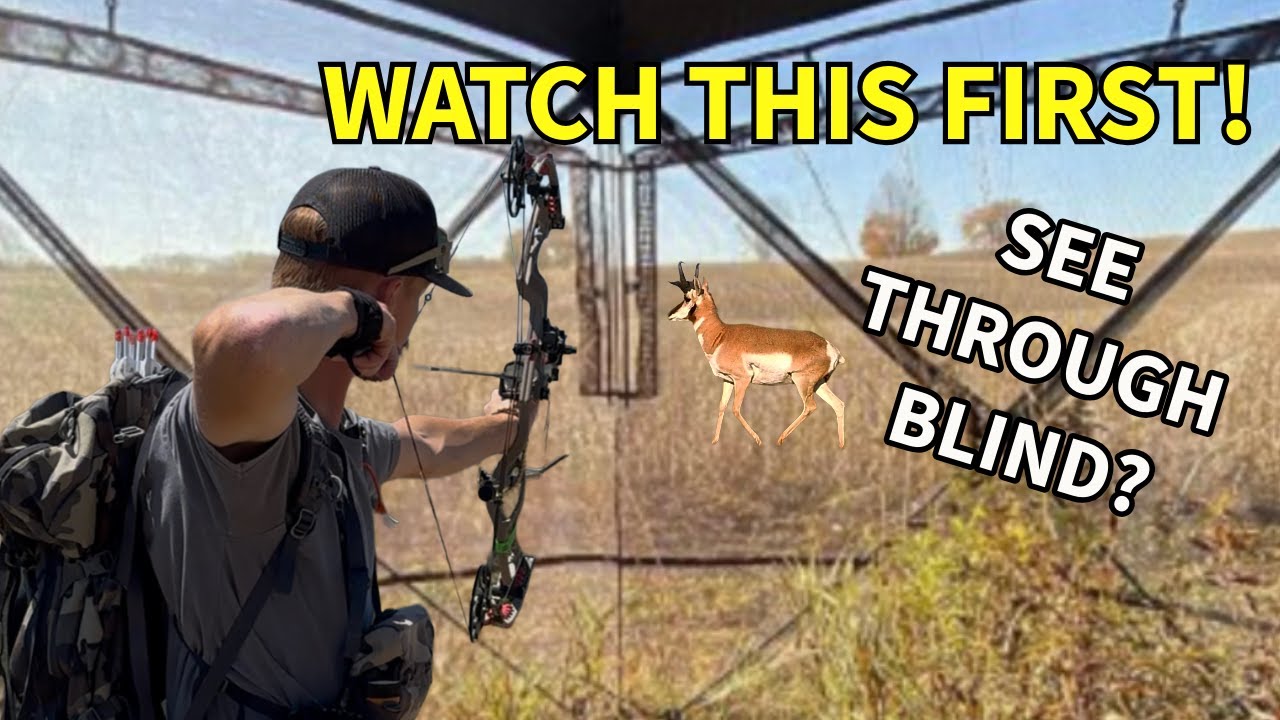 TIDEWE SEE THROUGH HUNTING BLIND (REVIEW AND SETUP) - YouTube