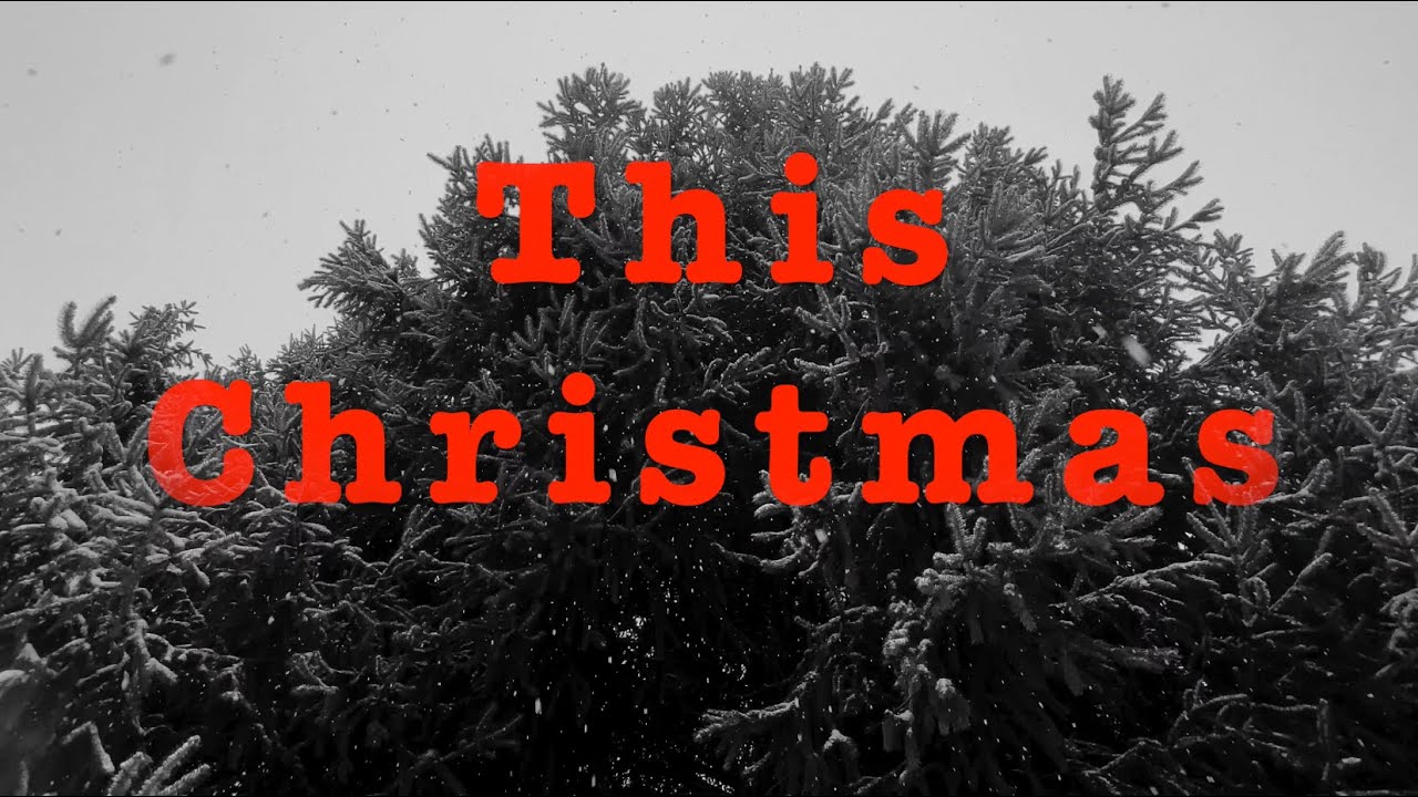 Tijuana Danger Dogs - This Christmas (Official Video) - YouTube