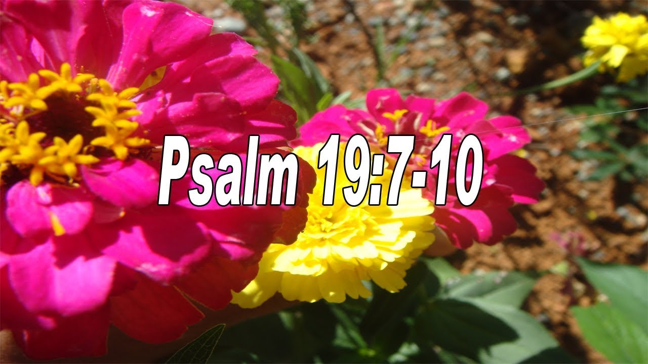 Scripture Song Psalm 19 7 10 The Law Of The Lord Is Perfect YouTube