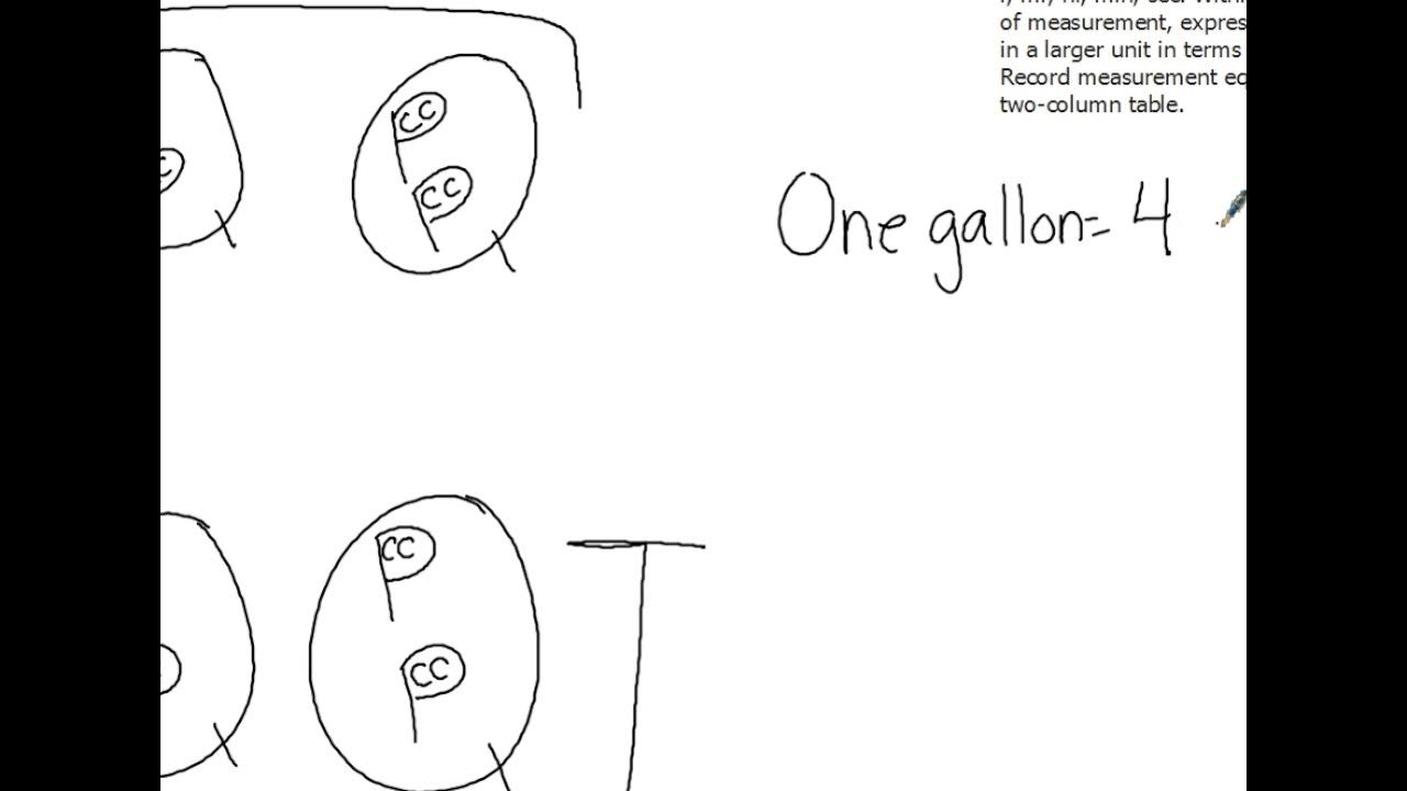 land of gallon video - YouTube