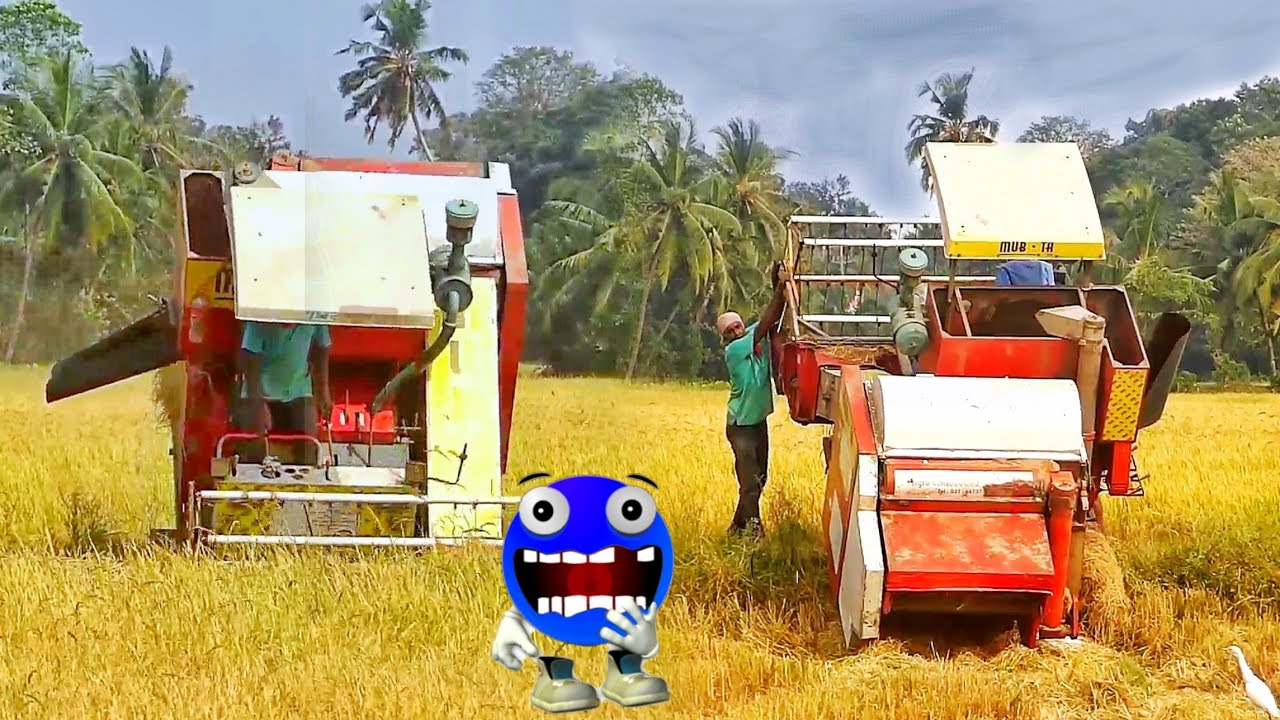 Amazing Rice Harvester Machine in srilanka | Rice cutter machine ...